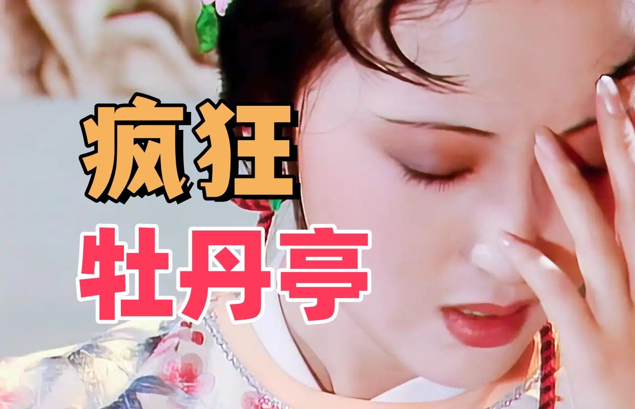 红楼戏中戏| 情色八卦,搞笑爽文,战争间谍,神鬼仙人,几百年前的超级...