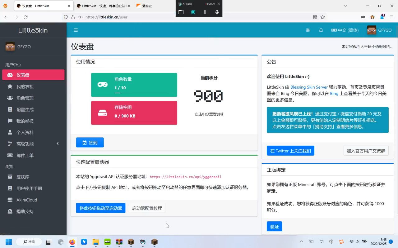 【教程】用littleskin登录