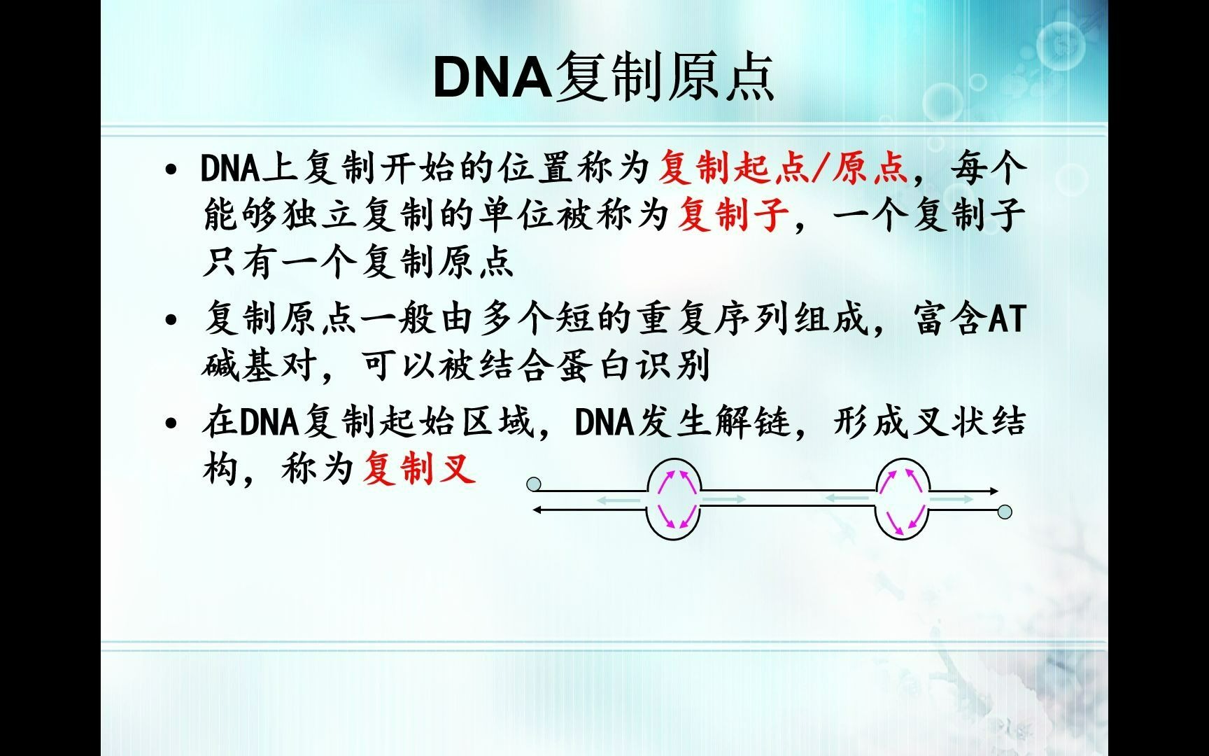 生物竞赛难点12-分子生物学-DNA复制过程