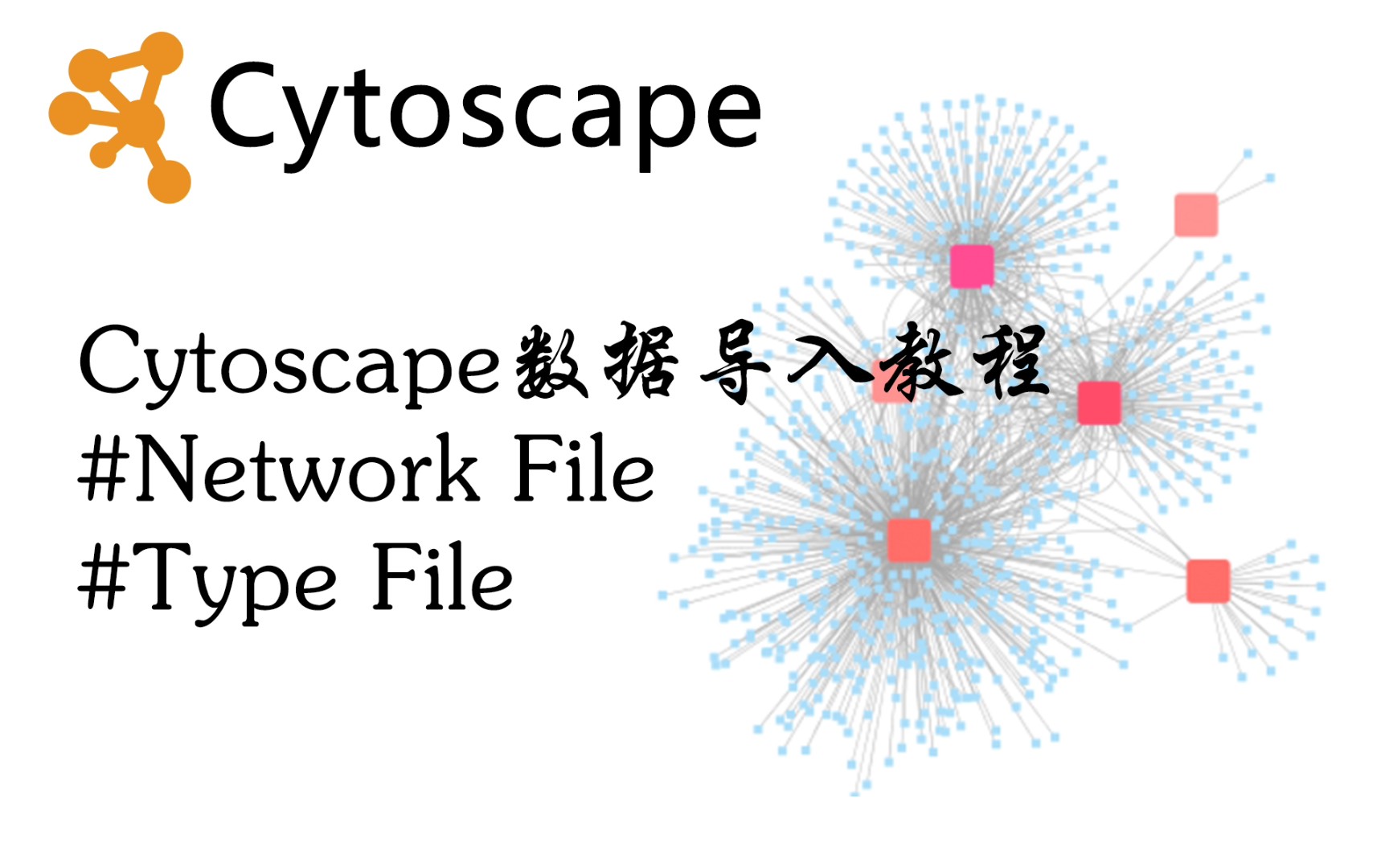 Cytoscape成分靶点网络数据导入教程
