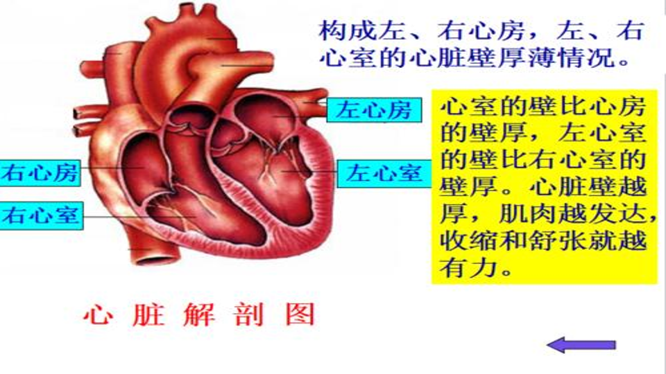 chambern.房间,室;会议室;议院;(动物体内)腔室考研单词托福雅思GMAT...