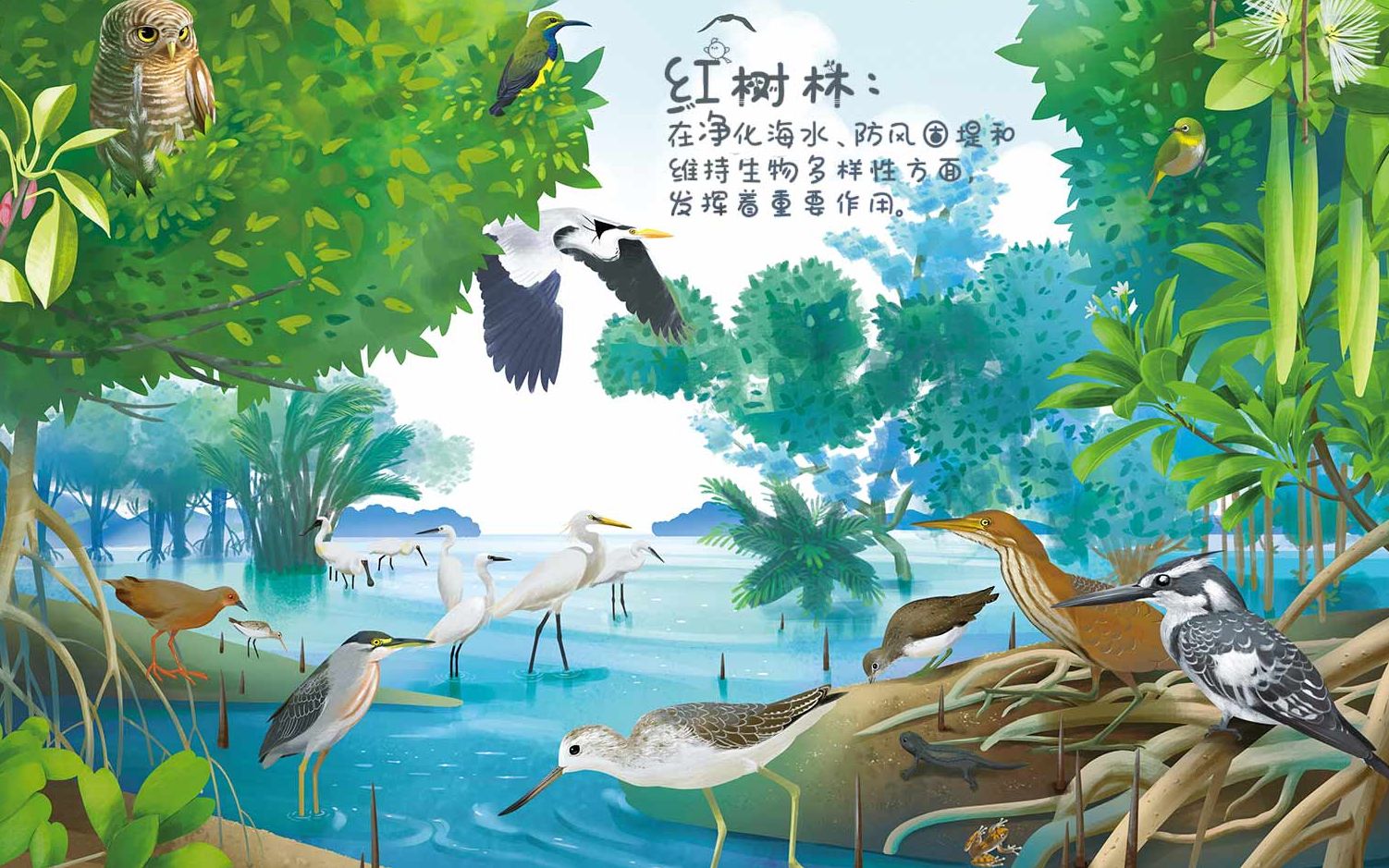 RDA冗余分析的简单出图.