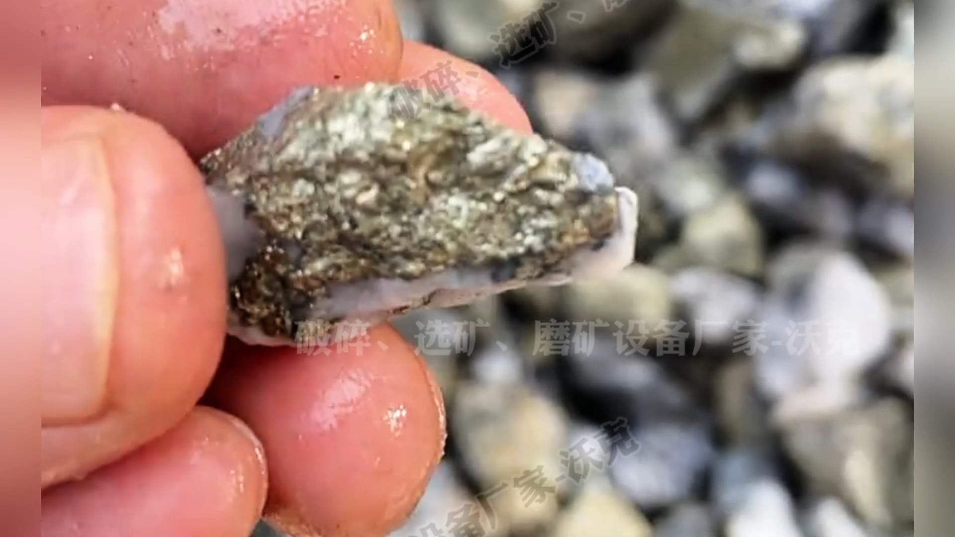 多硫含金矿石,如何选矿提取“金”?