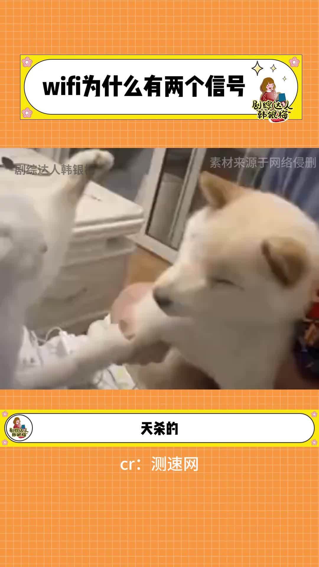 wifi为什么有两个信号 我说我的wifi怎么有两个信号呢
