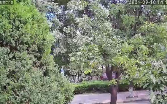 前40s进行急停下的pid抑振5次实验--而后不控制行走中两次急停