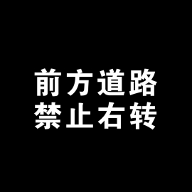 夏小毛子 