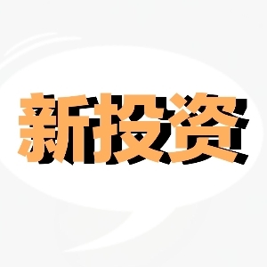 新投资 