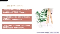 【日语】客户服务指南——上门回访开场白及对话