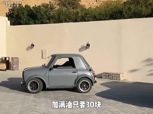 这是曾出价到800万的mini豪车