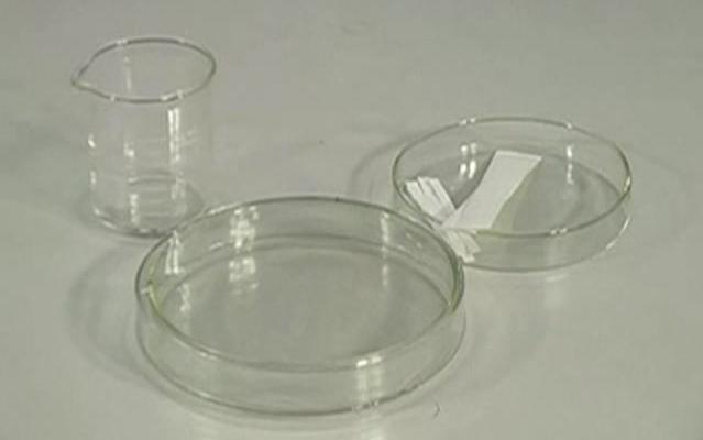 血红蛋白的提取和分离