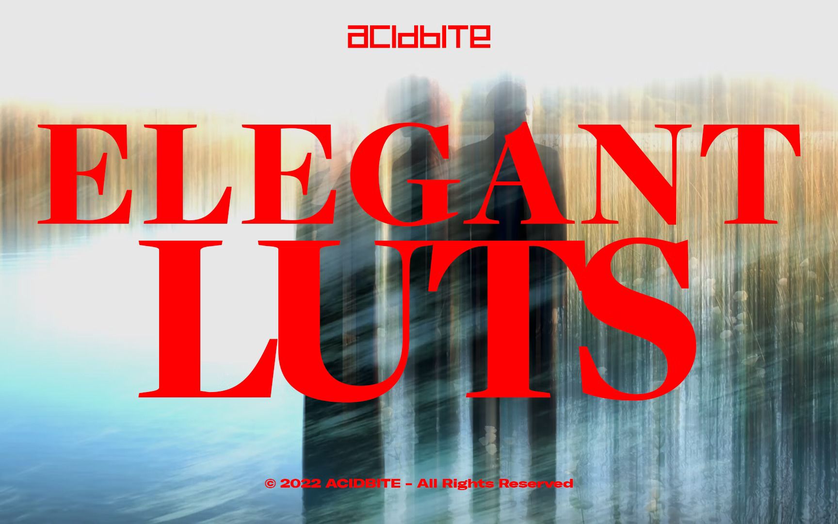 ...bite - ELEGANT LUTS 18种不同外观软硬变体556个不同风格LUT文件