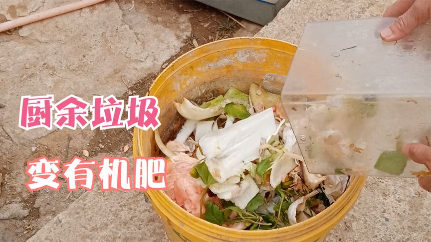 家里的厨余垃圾这样处理,变成有机肥,变废为宝而且清洁环境
