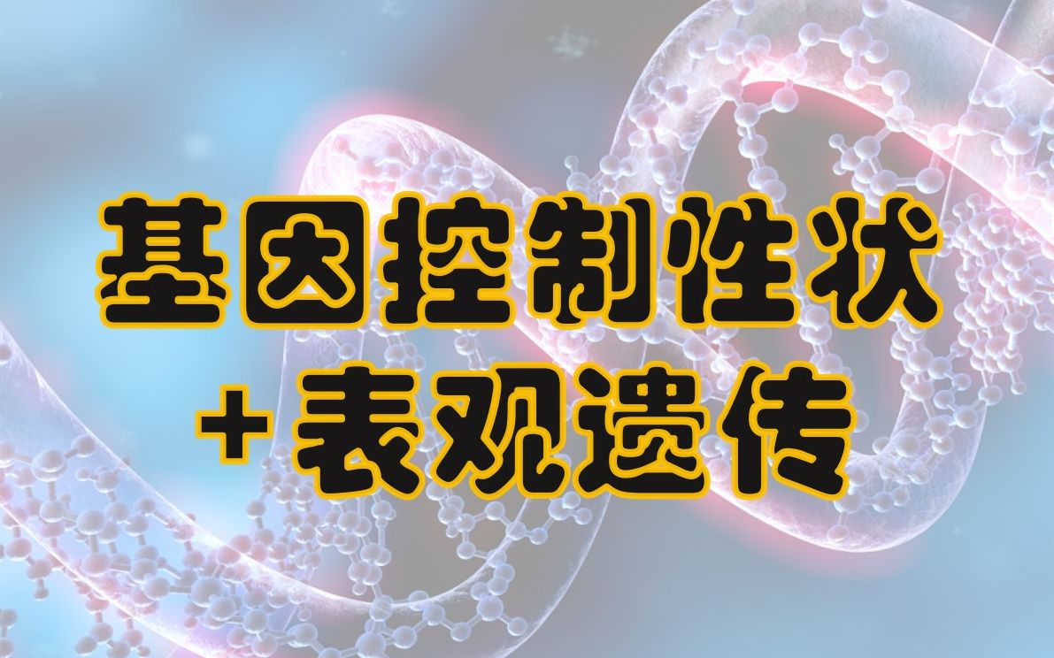 【必修二 · 同步课】4-2-基因与性状关系-表观遗传
