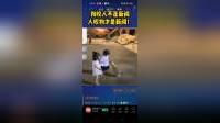 狗咬人不是新闻,人咬狗才是新闻[勉强]