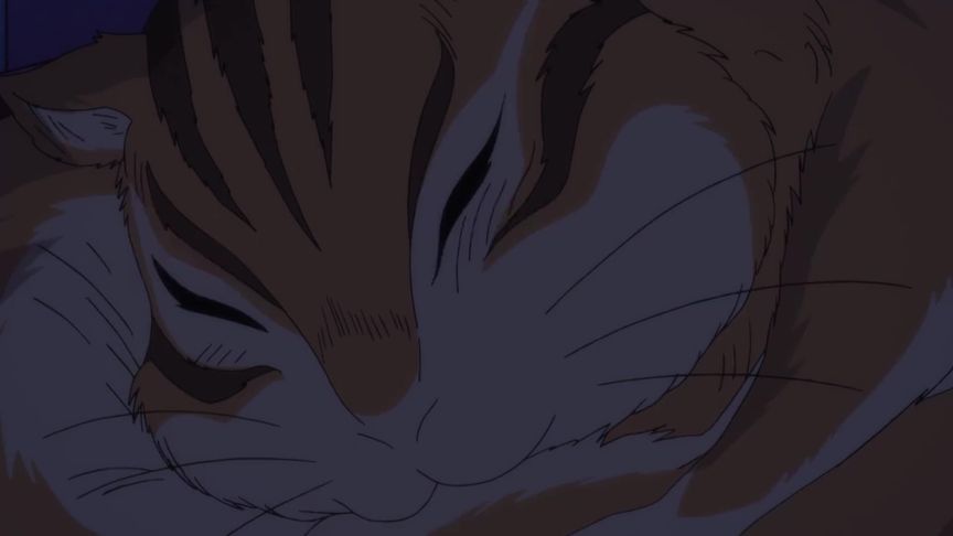 喜欢狗狗宠物的,非常推荐你去看今年1月新番!动画主角是柴犬!