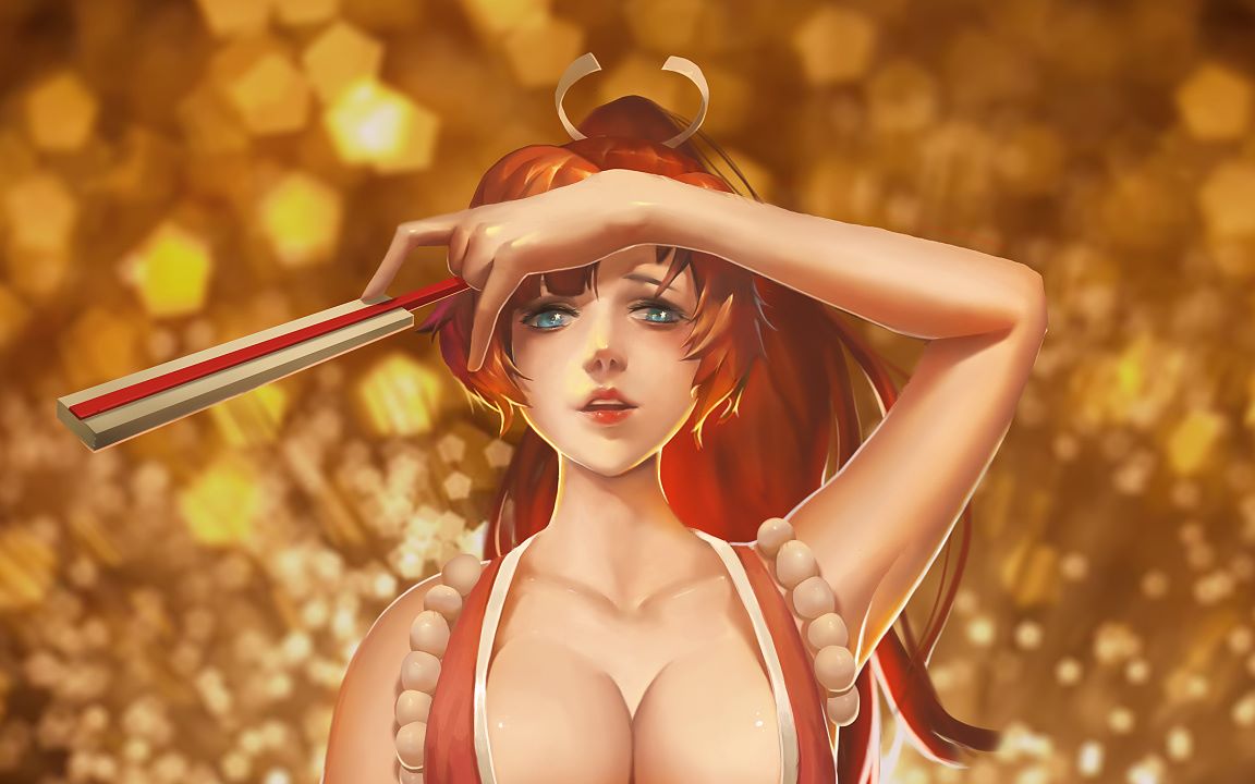 【死或生6】不知火舞 自己VS自己