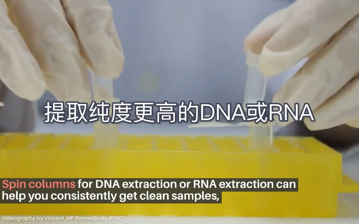 【核酸提取小知识】硅胶柱膜方法学提取核酸的原理与优势