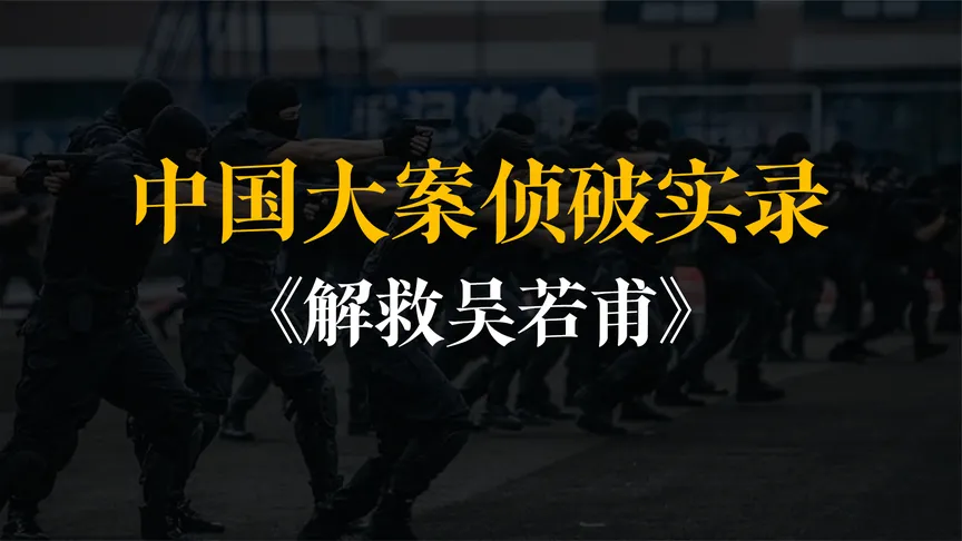 《解救吴若甫》中国大案侦破实录