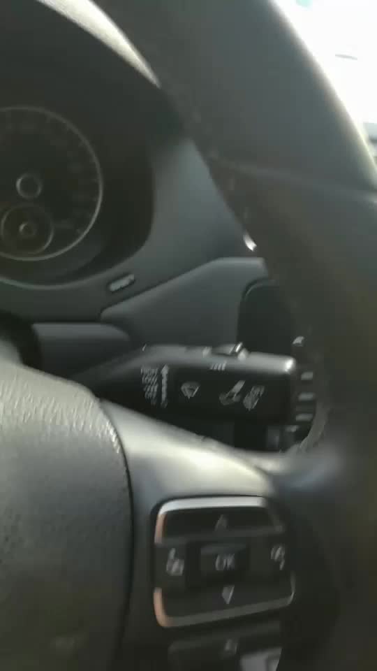 速腾雨刷器控制杆上的英文字母是什么意思?【来自懂车帝车友圈】