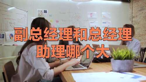 副总经理和总经理助理,谁的权力更大?职场真相令人意外!