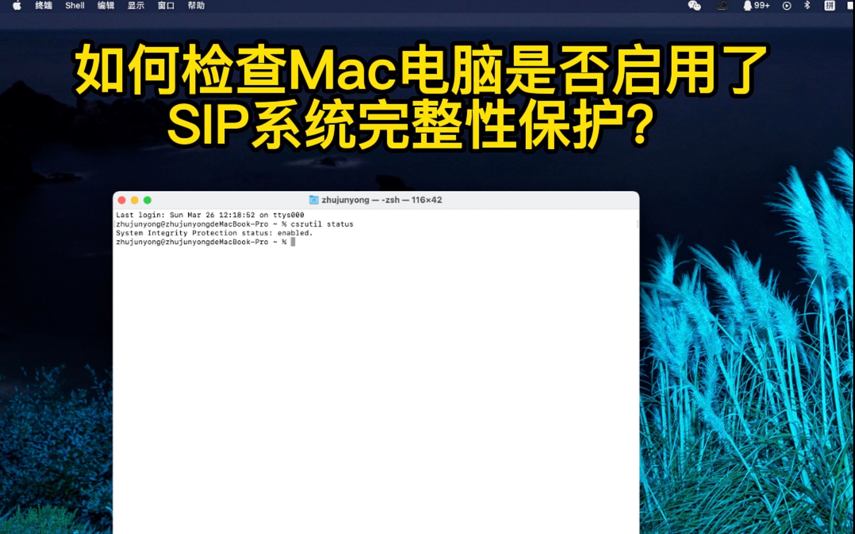 如何检查Mac电脑是否启用了SIP系统完整性保护?