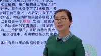 微课-初中生物 七年级上册 第11集 模拟实验