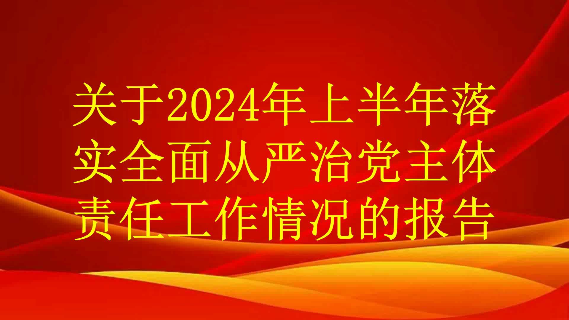 关于2024年上半年落实全面从严治党主体责任工作情况的报告