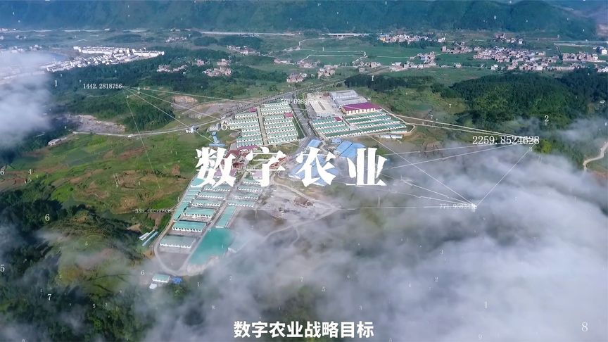 大数据赋能,开创“数字化农业+”时代的智慧养殖新模式!