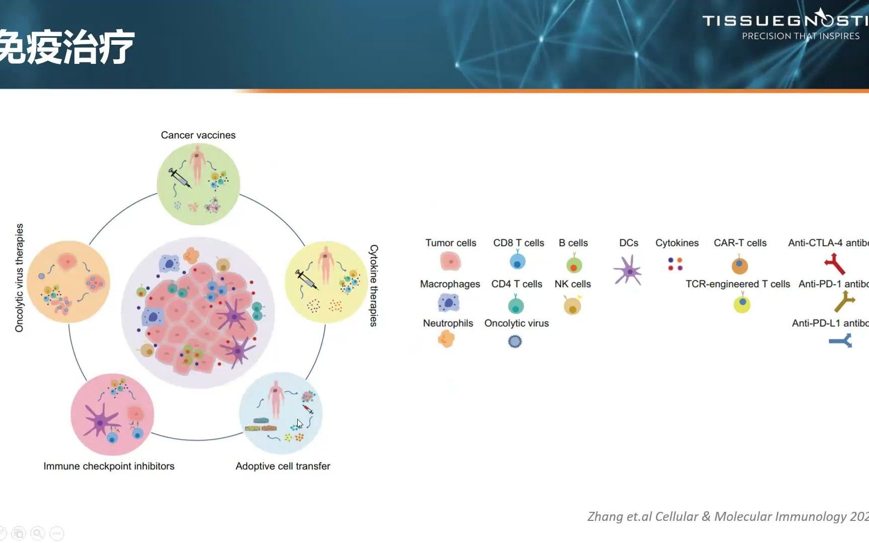 TissueFAXS cytometry技术于实体瘤免疫治疗应用探索