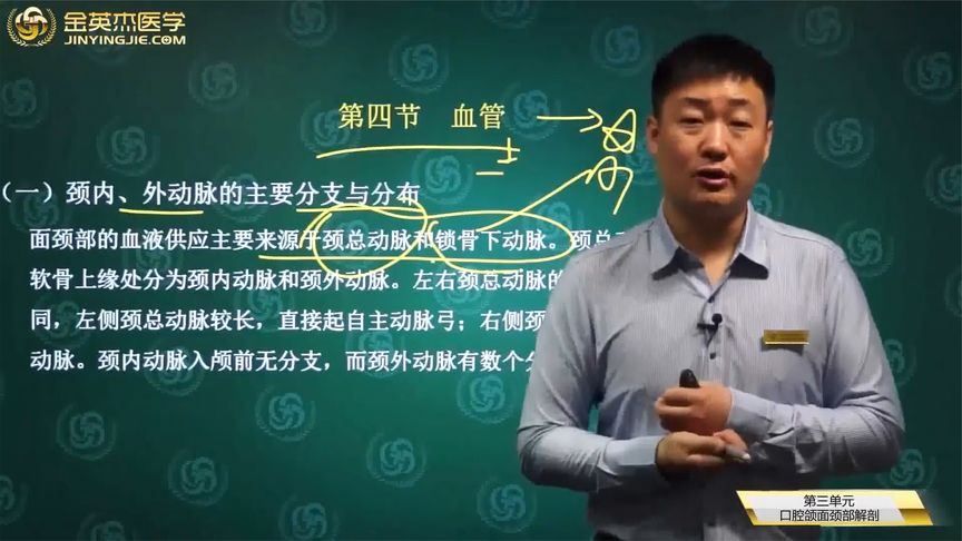 2020口腔核心考点口腔解剖生理学—血管,颈内外动脉的主要分支!