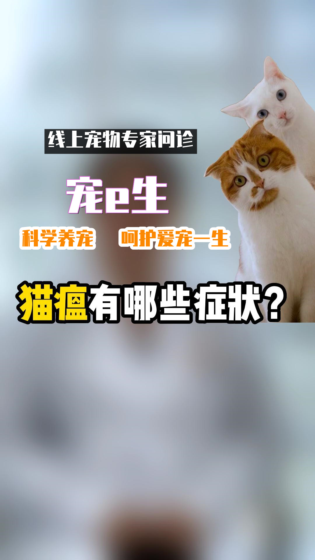 宠物知识:幼猫患该病,死亡率高达75%