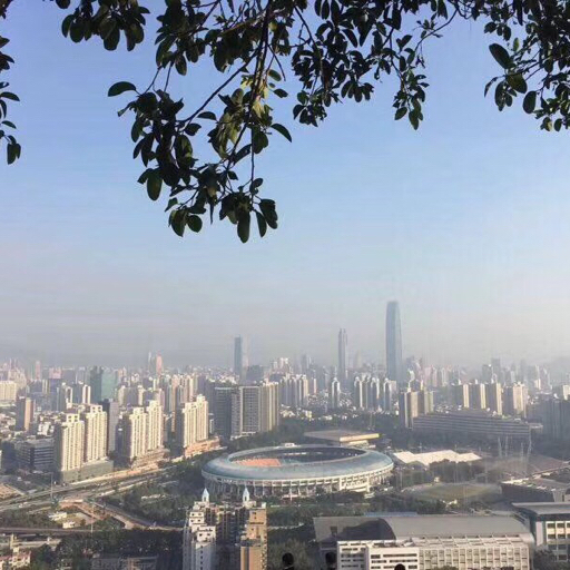 王康磊 