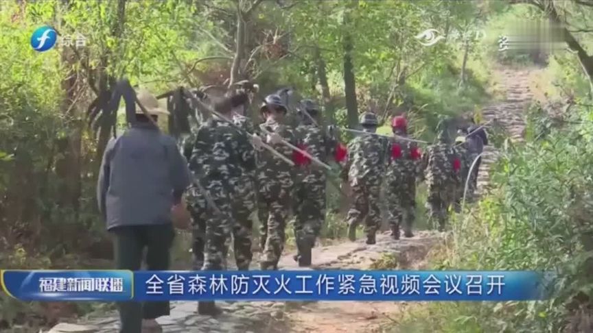 全省森林防灭火工作紧急视频会议召开,对森林防火工作进行再部署