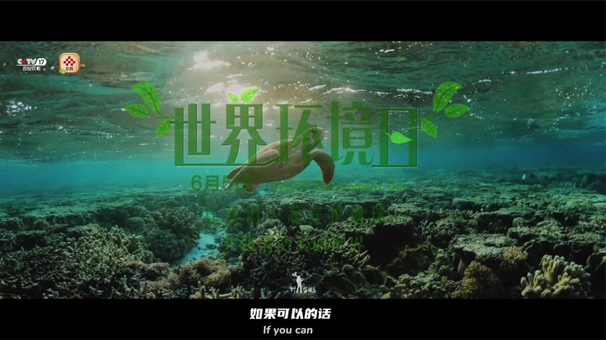 世界环境日丨让我们共建清洁美丽世界,守护我们的家园!