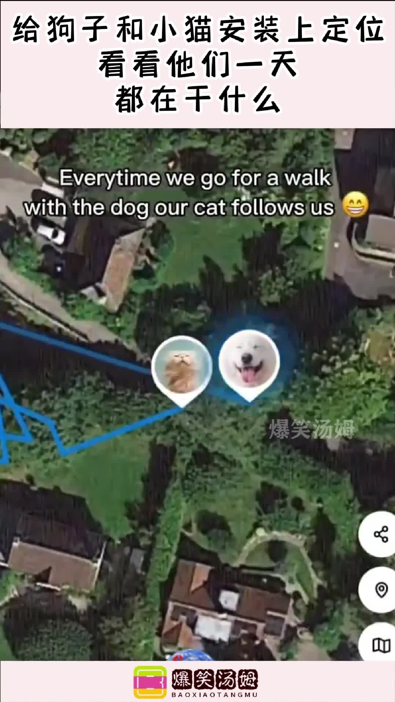 给狗子和小猫安装上定位,看看他们一天,都在干什么