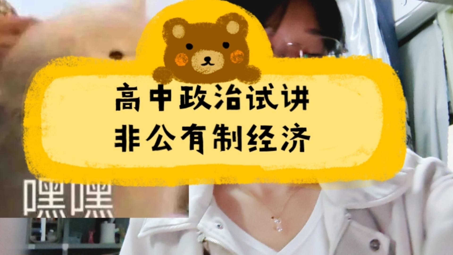 【高中政治试讲】非公有制经济