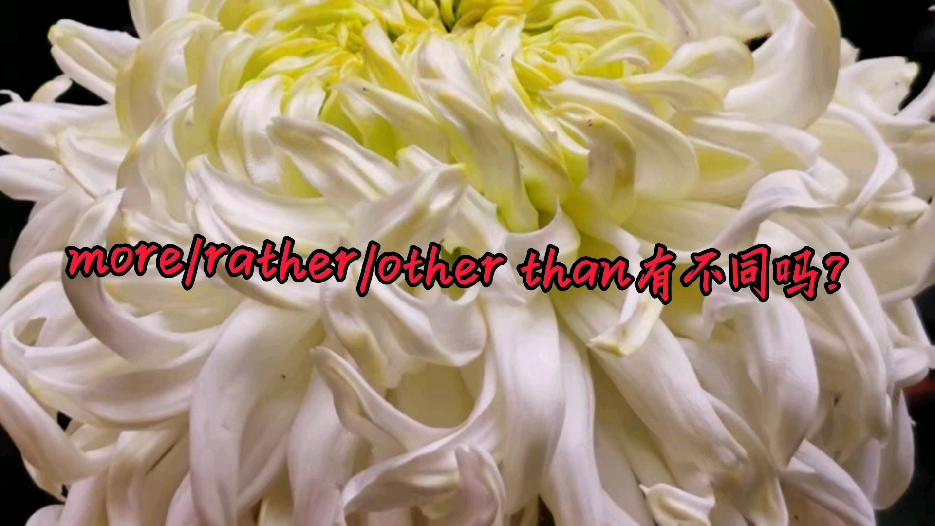 more/rather/other than有不同吗?