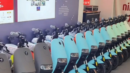 小米九号真智能电动车爆款A30C+