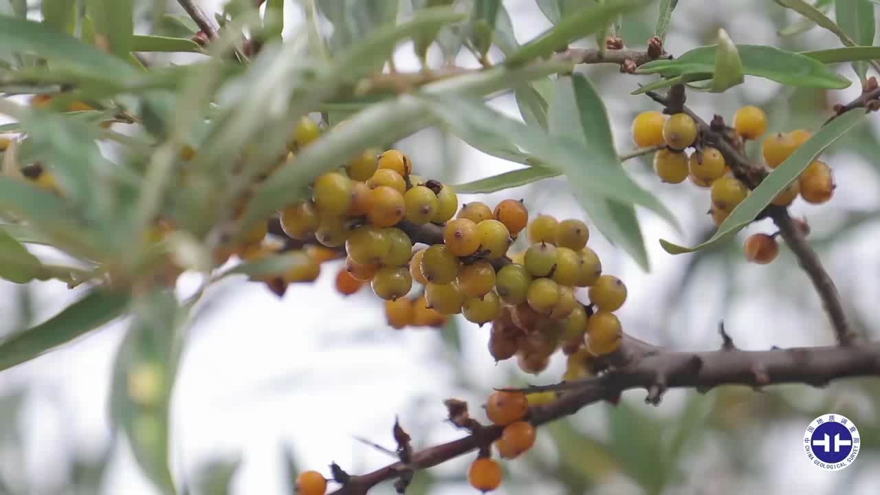 矿山生态修复系列动画—煤矿地下水库