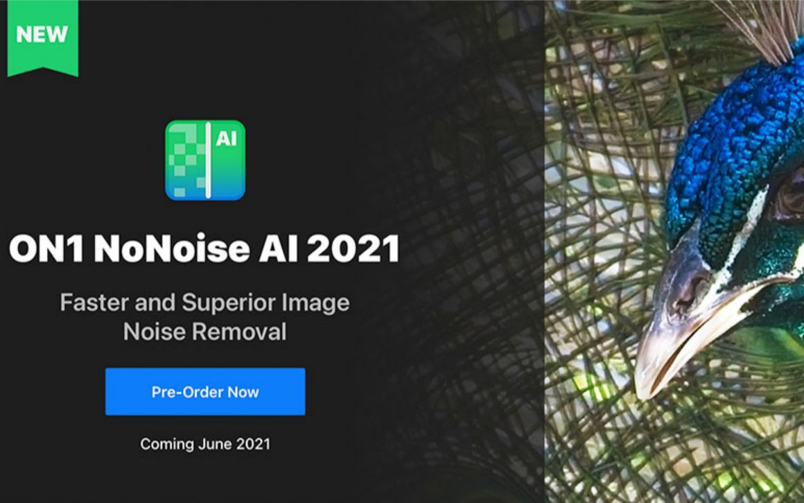 ON1 NoNoise AI 2021图像降噪软件 演示视频 RRCG