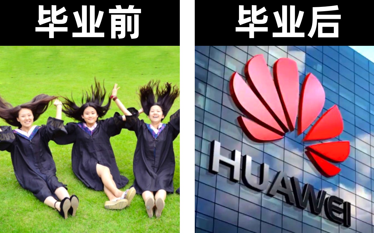 IT企业喜欢招哪些专业的学生?