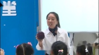 幼儿园中班科学公开课:有趣的紫甘蓝 课件PPT教案到幼师OK