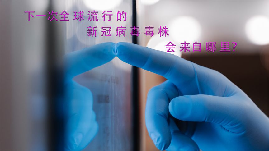 新冠病毒下一次流行的毒株来自哪里?三个可能来源很关键