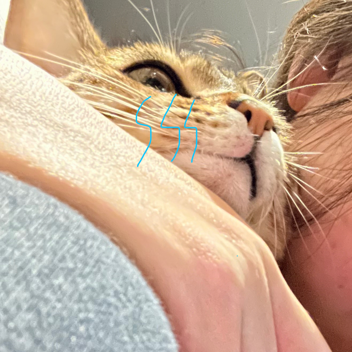 东九九九九九九九九九 