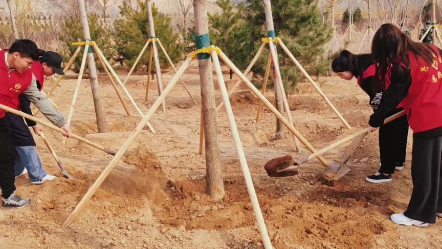 #植树 倡导爱绿护绿,共建美好家园!