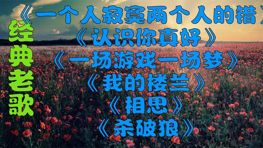 《一个人的寂寞两个人的错》《认识你真好》《一场游戏一场梦》