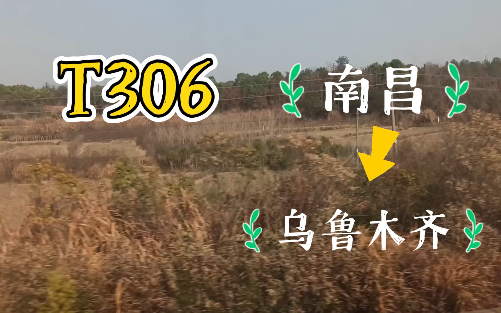 T306:南昌→乌鲁木齐火车旅程记录