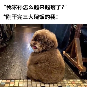 彩豆 
