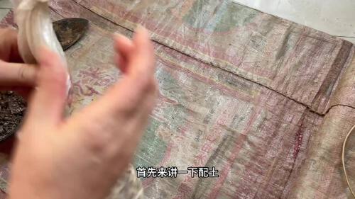 实操金手指上盆教程,分享配土换盆气温日常养护管理技巧简单实用