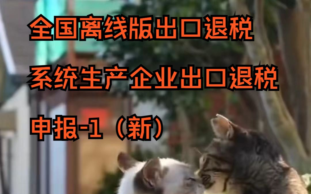 25、全国离线版出口退税系统生产企业出口退税申报-1(新)